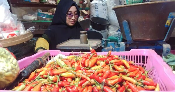 Jelang Ramadhan, Harga Cabai Rawit di Lumajang Tembus Rp100/Kg - PANTURA7.com