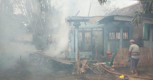Konsleting Listrik, Kandang dan Rumah Ludes Terbakar - PANTURA7.com