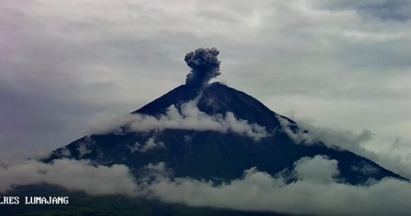 Gunung Semeru Kembali Erupsi, Lontarkan Abu Vulkanik Setinggi 1.200 Meter - PANTURA7.com
