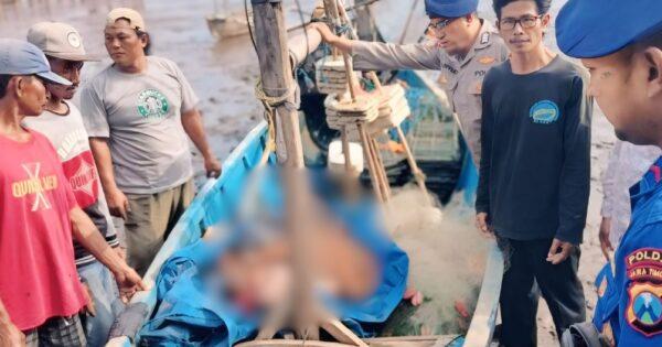 Jatuh ke Laut, Nelayan di Bayeman Probolinggo Ditemukan Meninggal ...