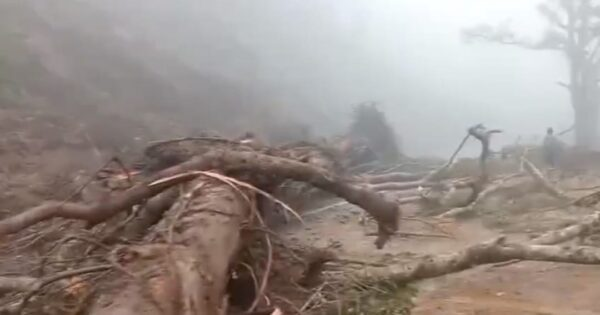 Longsor Disertai Pohon Tumbang Tutup Total Jalur Lumajang-Malang - PANTURA7.com