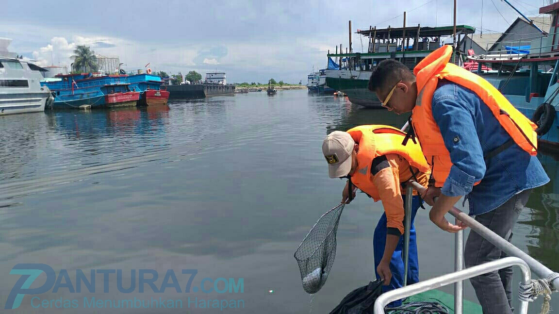 Pelabuhan Mayangan Bertabur Sampah di HPSN - PANTURA7.com Pelabuhan Mayangan Bertabur Sampah di HPSN - PANTURA7.com
